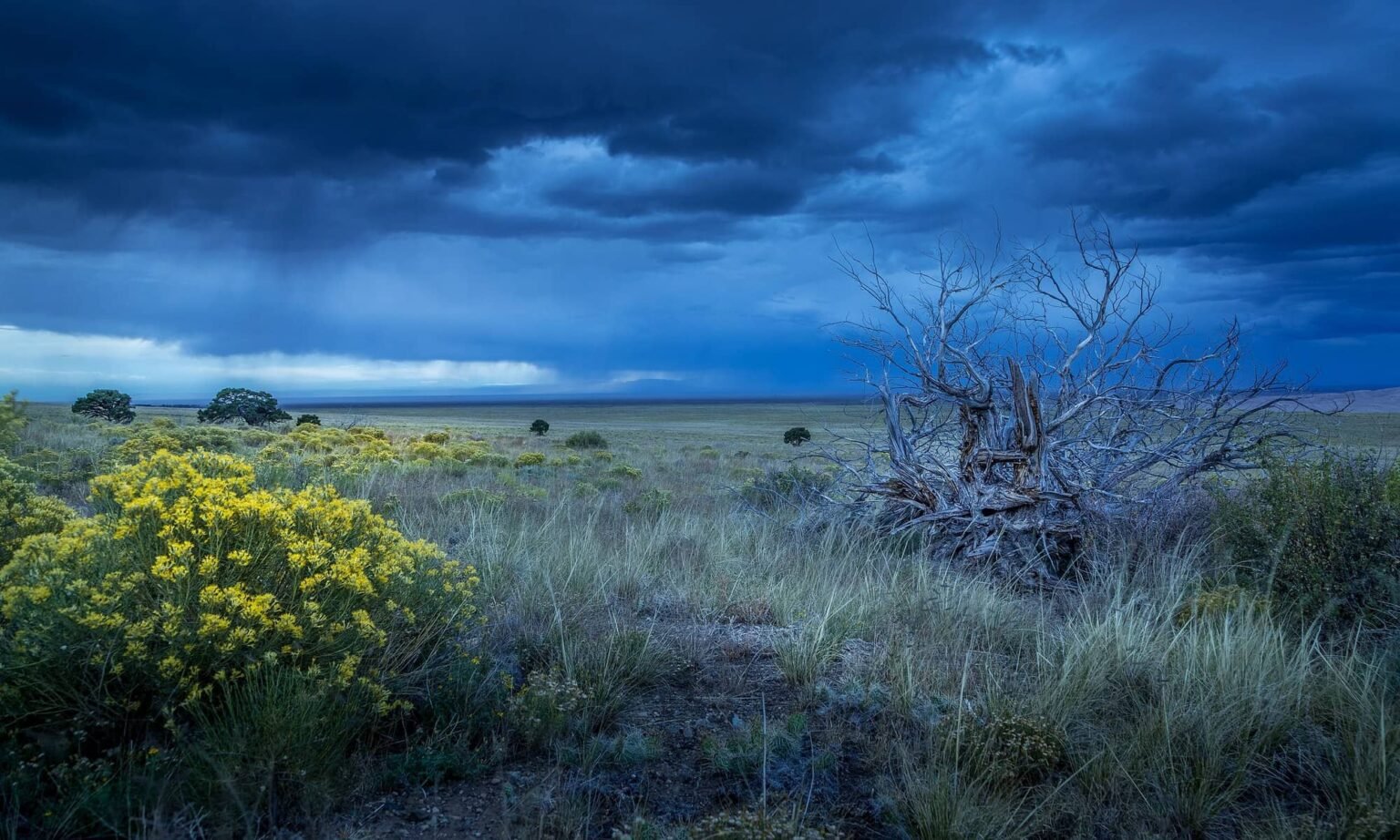 The Plains - Eric Roth